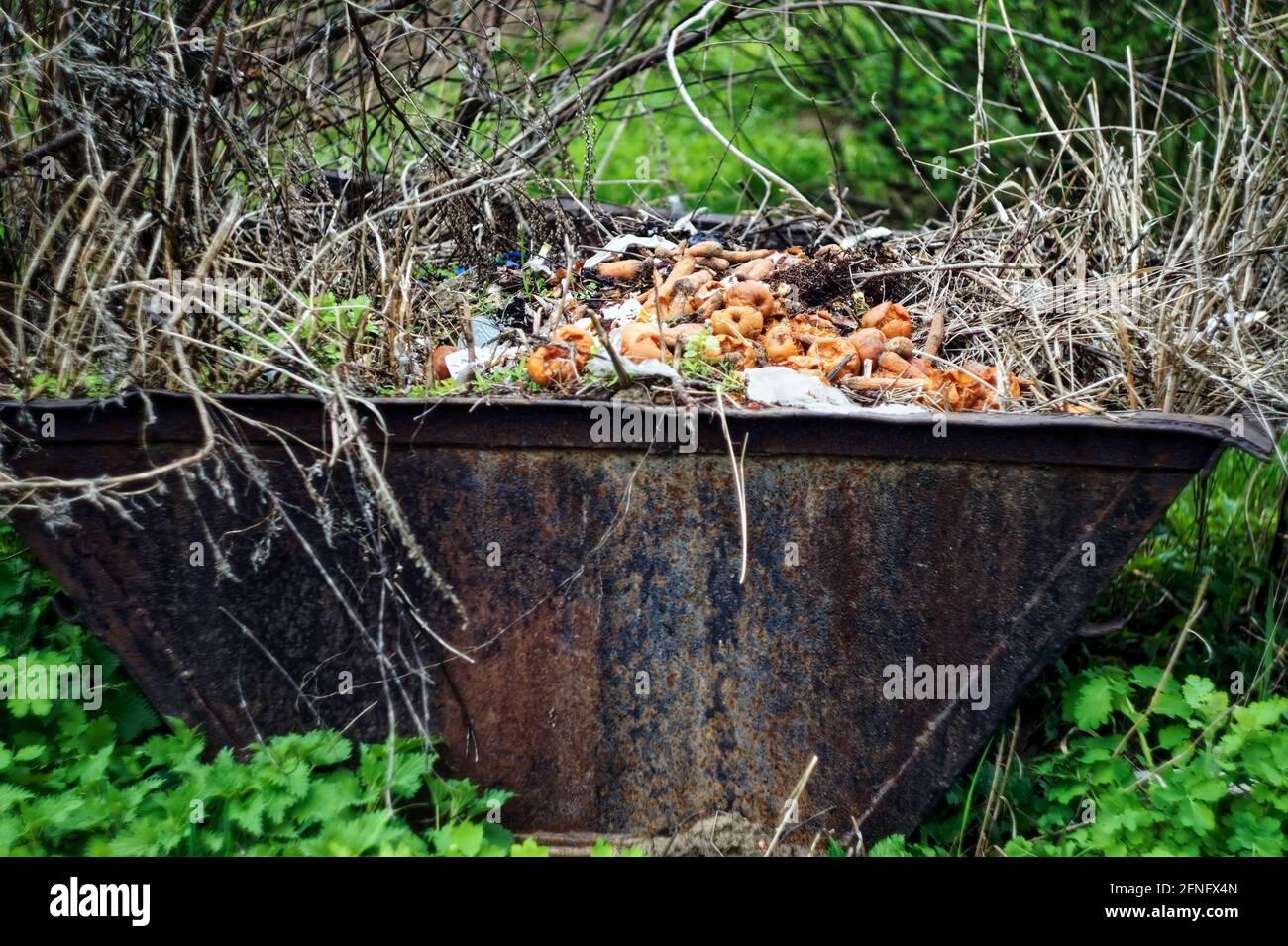 a pile of garbage in an old barrel in the garden, in the spring Stock ...
