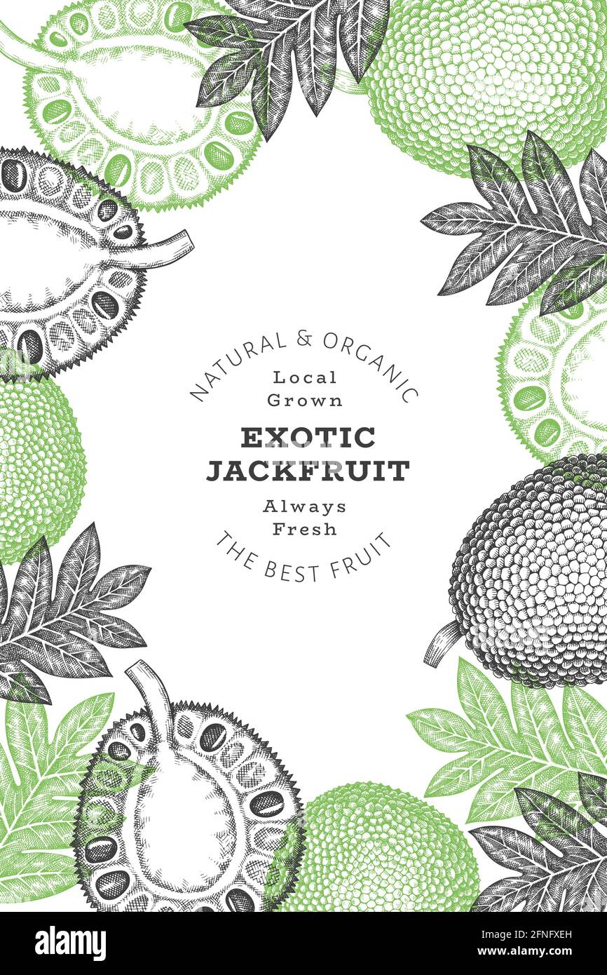 Hand drawn sketch style jackfruit banner. Organic fresh fruit vector ...