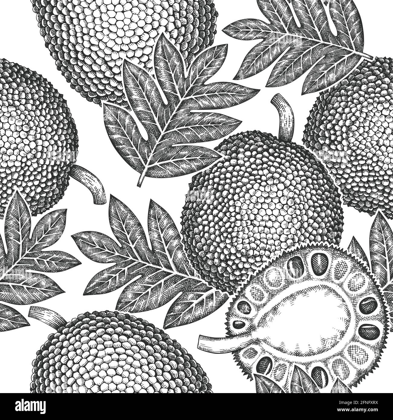 Hand drawn sketch style jackfruit seamless pattern. Organic fresh fruit vector illustration ...