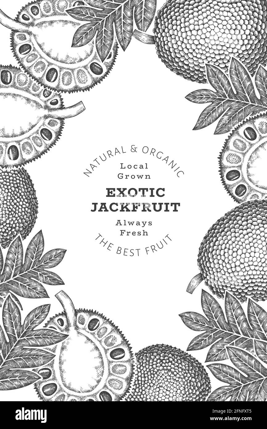 Jackfruit Tree Drawing