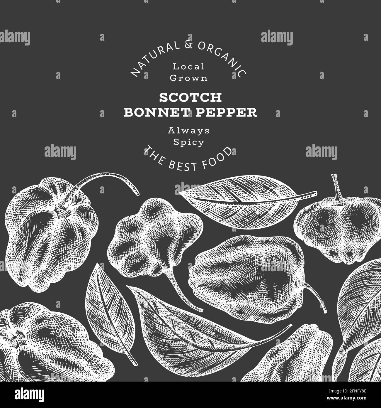 Hand drawn sketch style scotch bonnet pepper banner. Organic fresh ...