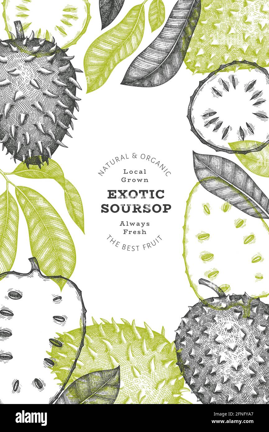 Hand drawn sketch style soursop fruit banner. Organic fresh fruit ...