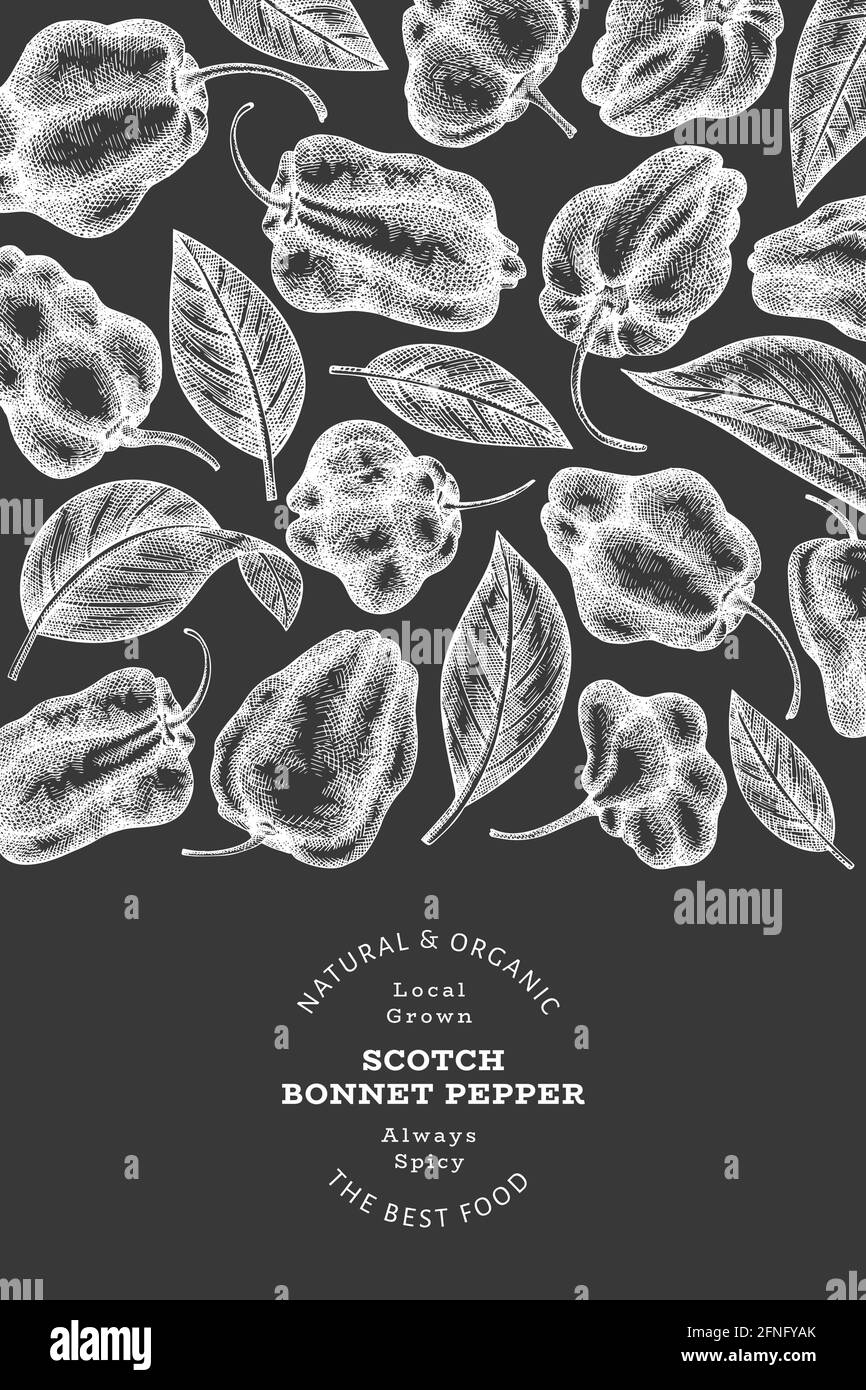 Hand drawn sketch style scotch bonnet pepper banner. Organic fresh ...