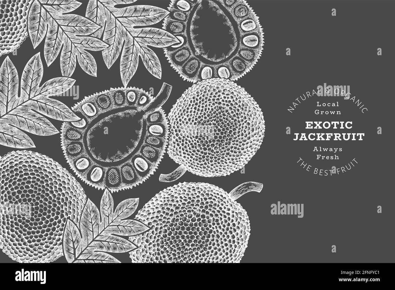 Hand drawn sketch style jackfruit banner. Organic fresh fruit vector illustration on chalk board ...