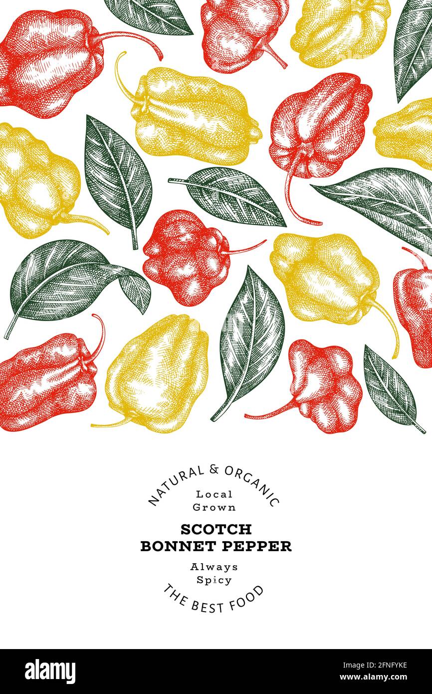 Hand drawn sketch style scotch bonnet pepper banner. Organic fresh ...