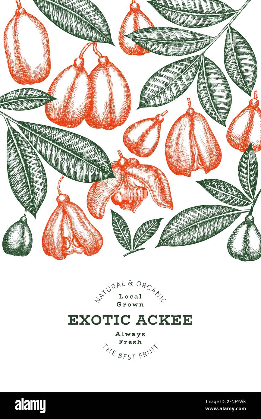 Aki Stock Vector Images - Alamy