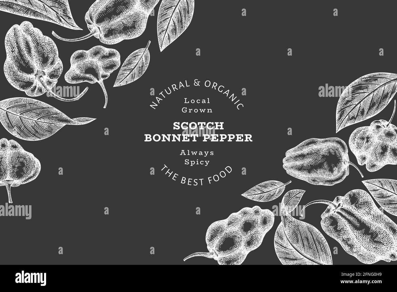Hand drawn sketch style scotch bonnet pepper banner. Organic fresh ...