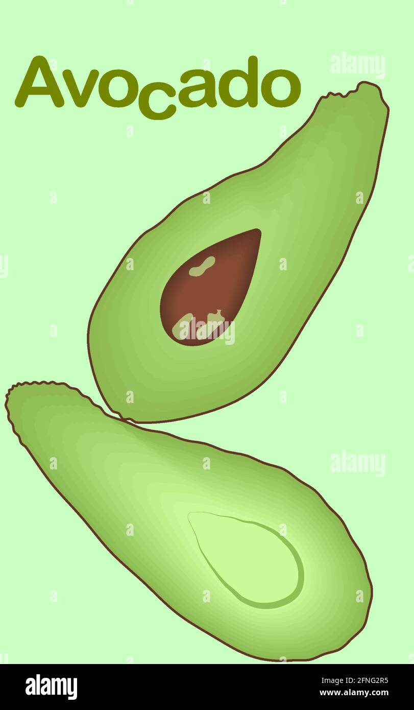 Fresh green avocados natural Stock Vector Images - Alamy