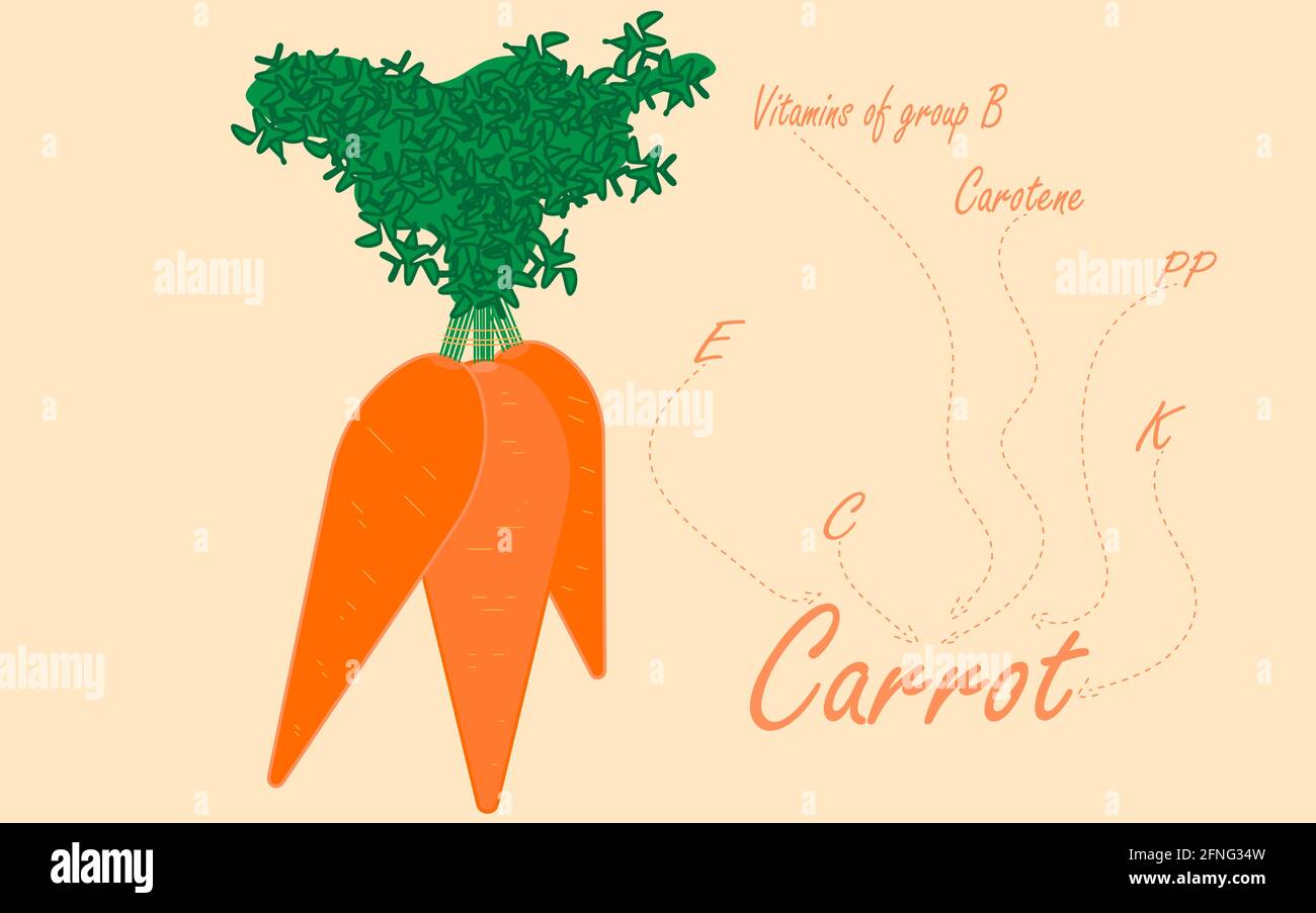 Creative food vegetable concept Stock Vector Images - Alamy