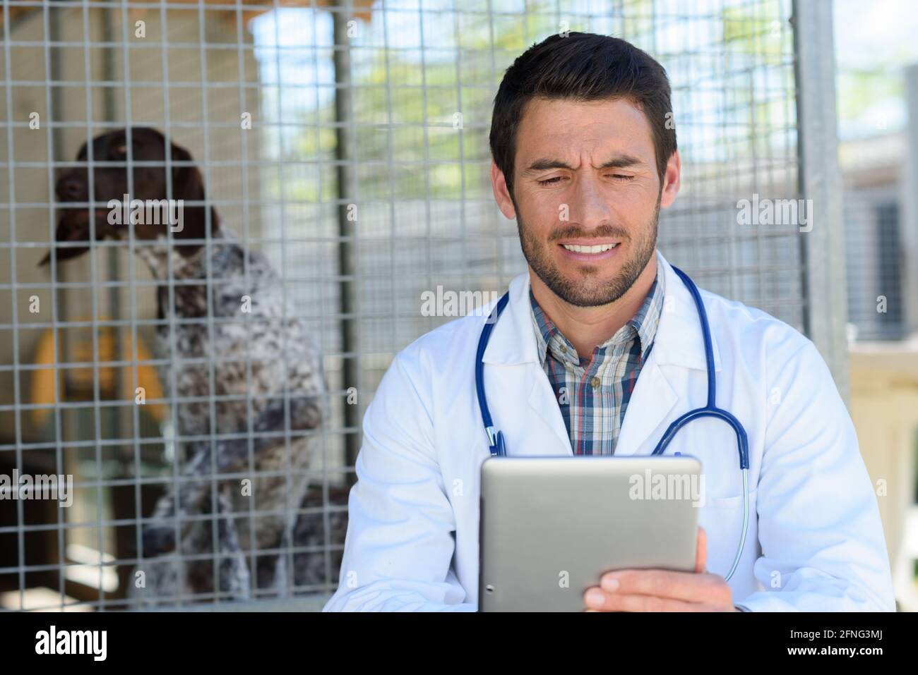 Handsome doctor veterinarian holding hi-res stock photography and ...