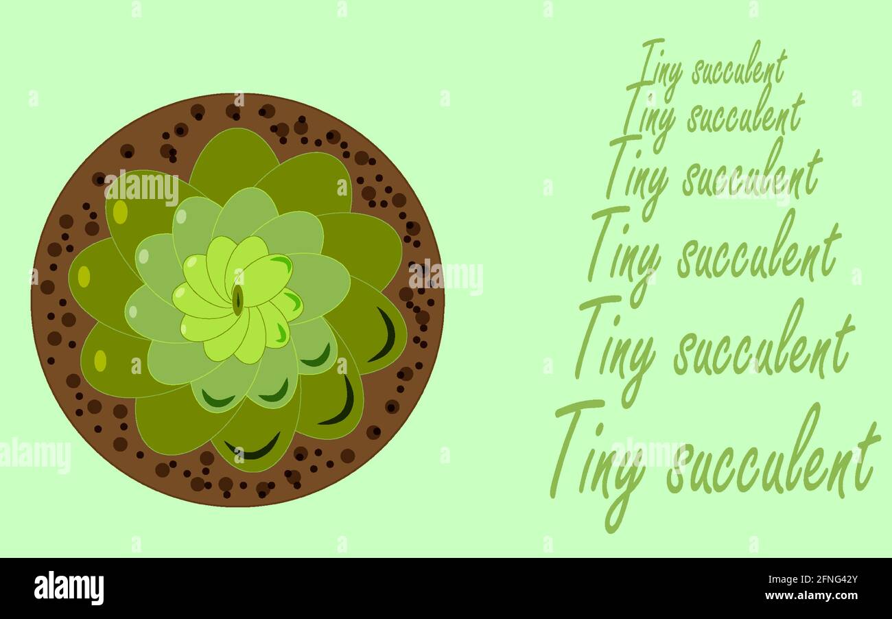 Green color flowers Stock Vector Images - Alamy