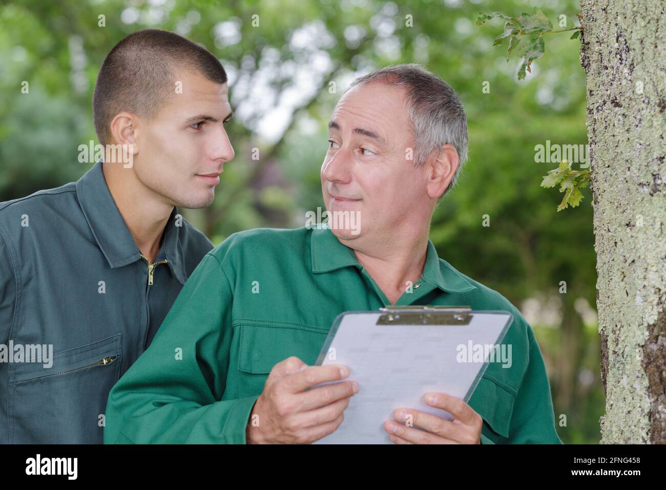 two men gardener landscaping together Stock Photo - Alamy