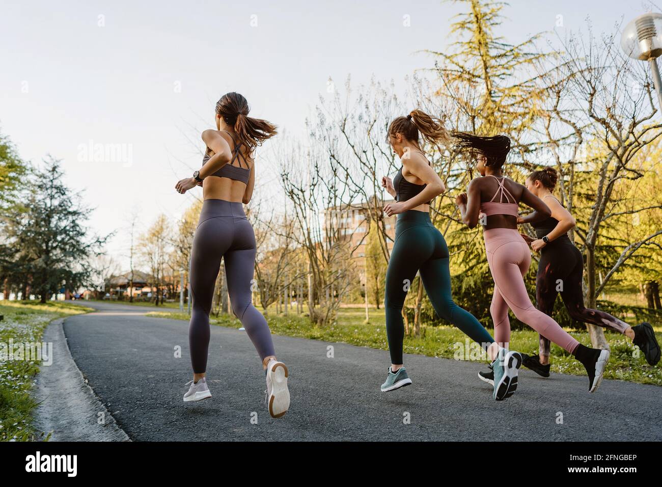 Back view multiracial female runners in activewear jogging during ...