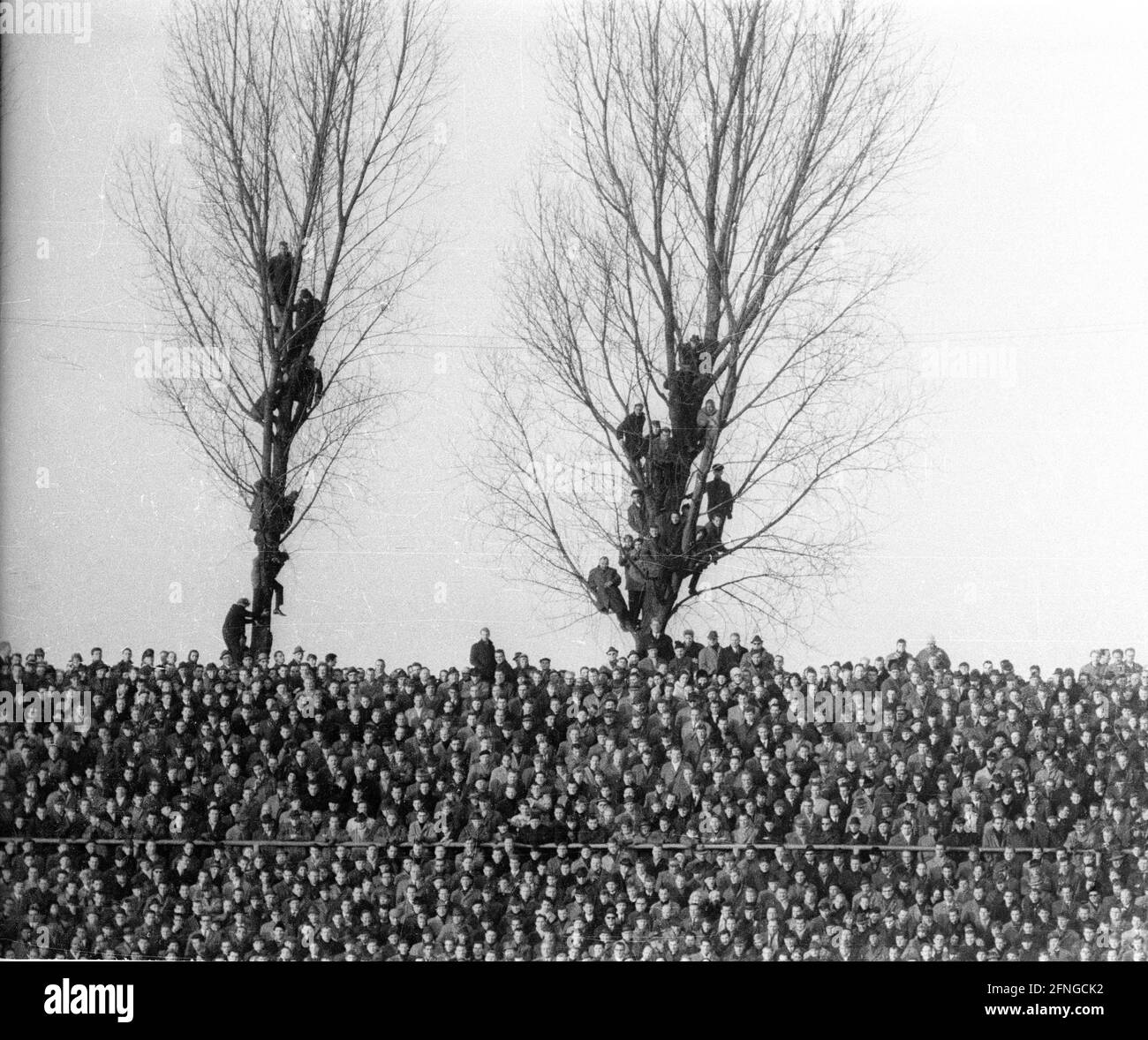1860 muenchen hi-res stock photography and images - Alamy