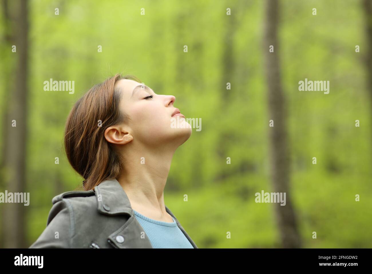Breathing forest hi-res stock photography and images - Alamy