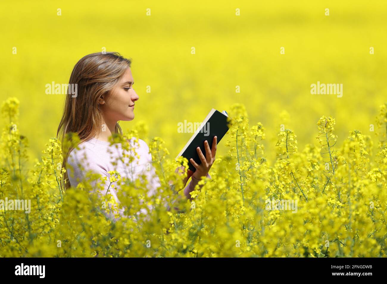 Side view portrait of a woman reading a paper book in a yellow field in ...