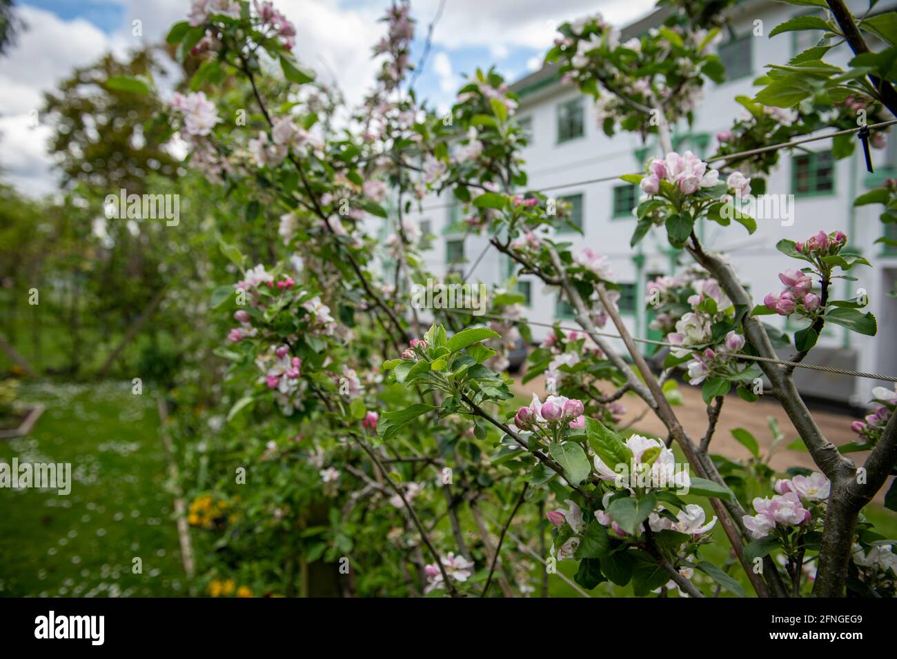 Grade 2 listed building Pinner Court in Pinner Harrow Stock Photo - Alamy