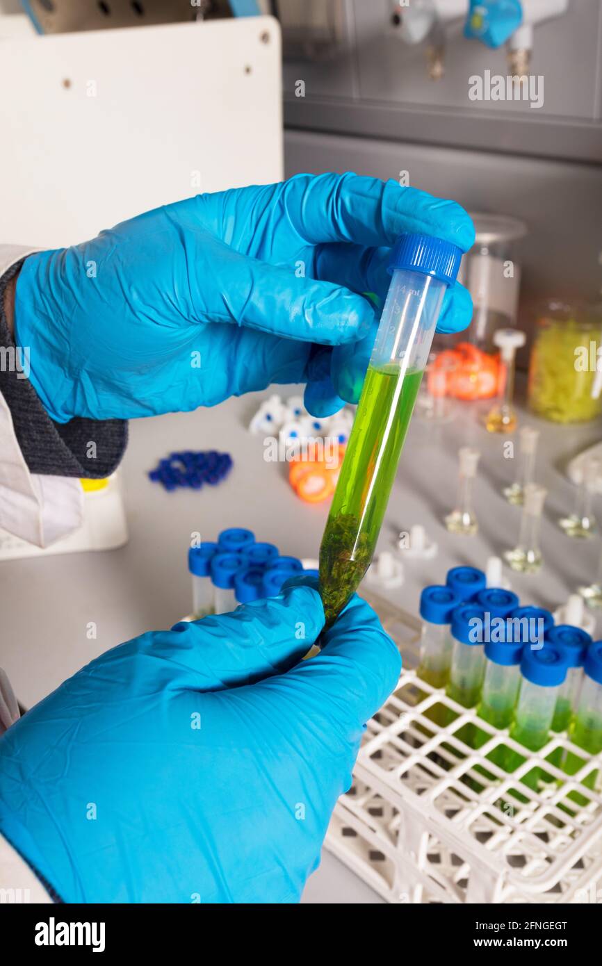 Crop analysis hi-res stock photography and images - Alamy