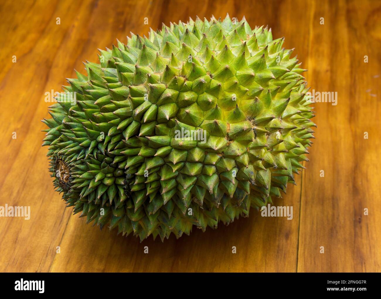 Tropical fruit durian on wooden background. Whole tropical fruit durian ...