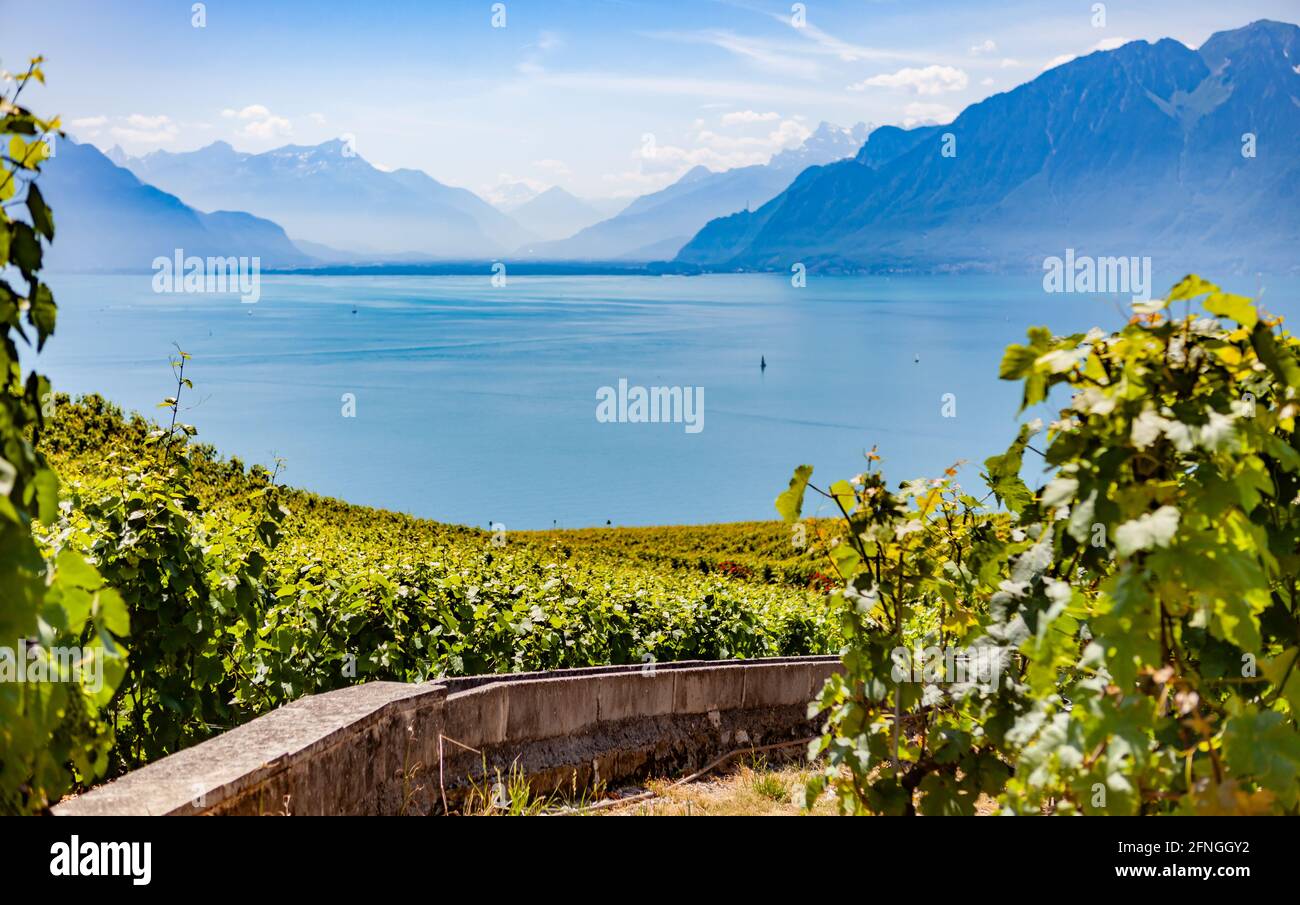 Explore geneva hi-res stock photography and images - Alamy