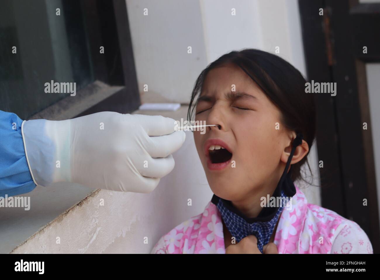 Nasal swab sample hi-res stock photography and images - Alamy