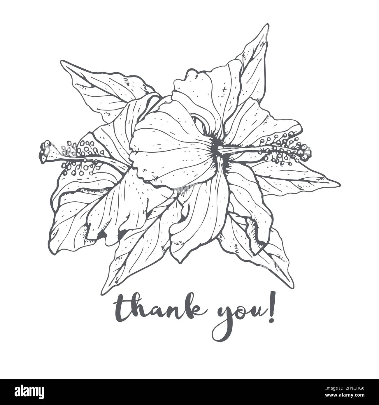Thank you with rose bouquet Stock Vector Images - Alamy