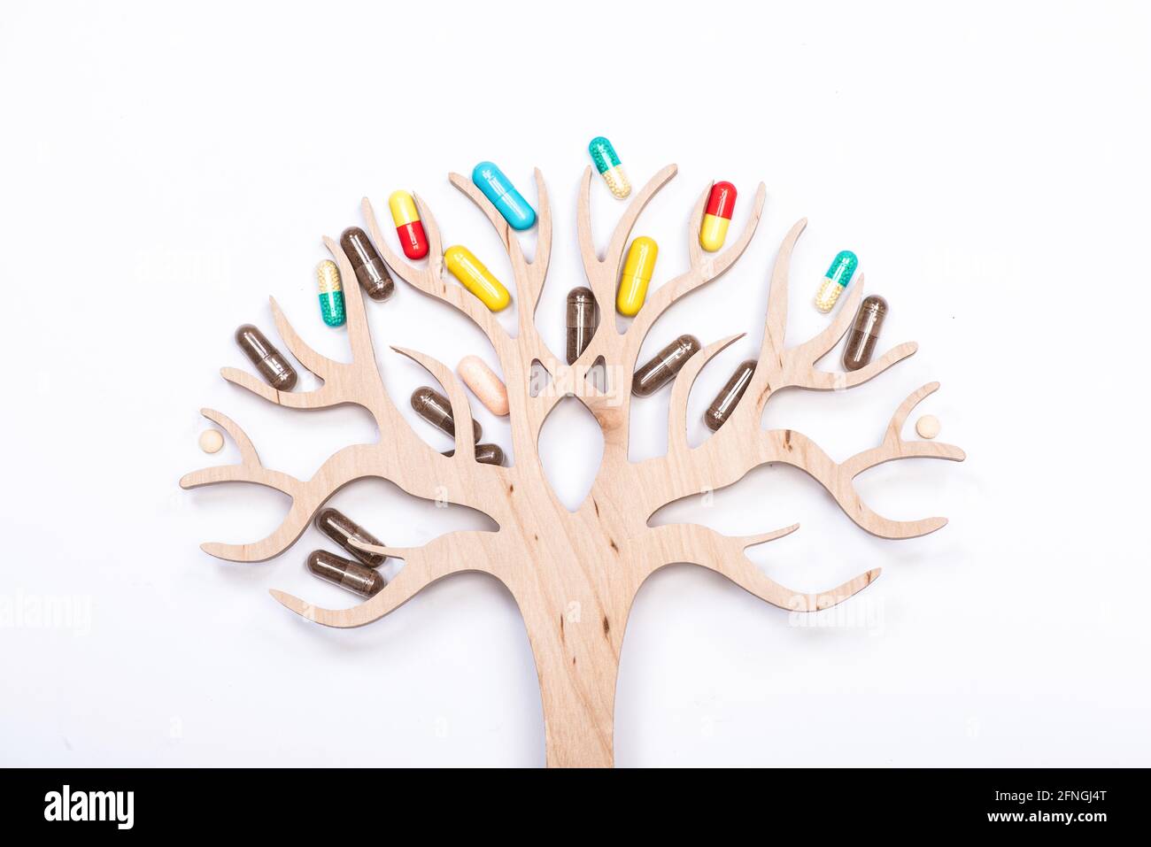 Tree of life. Wooden tree decorated with assorted pills. Medical ...