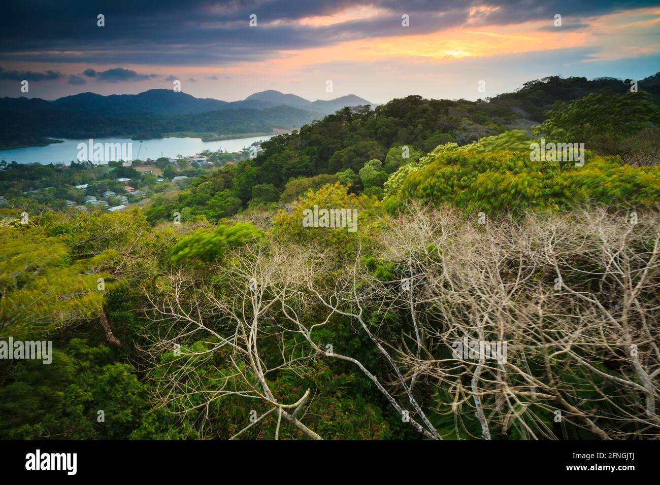 Panama rainforest landscape at sunset, at Gamboa with view over the ...