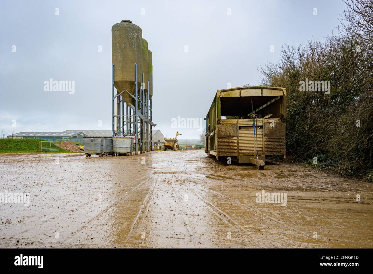 Farmyard with storage silos Stock Photo - Alamy