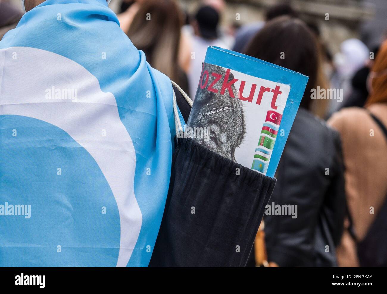 Turkish wolf hi-res stock photography and images - Alamy