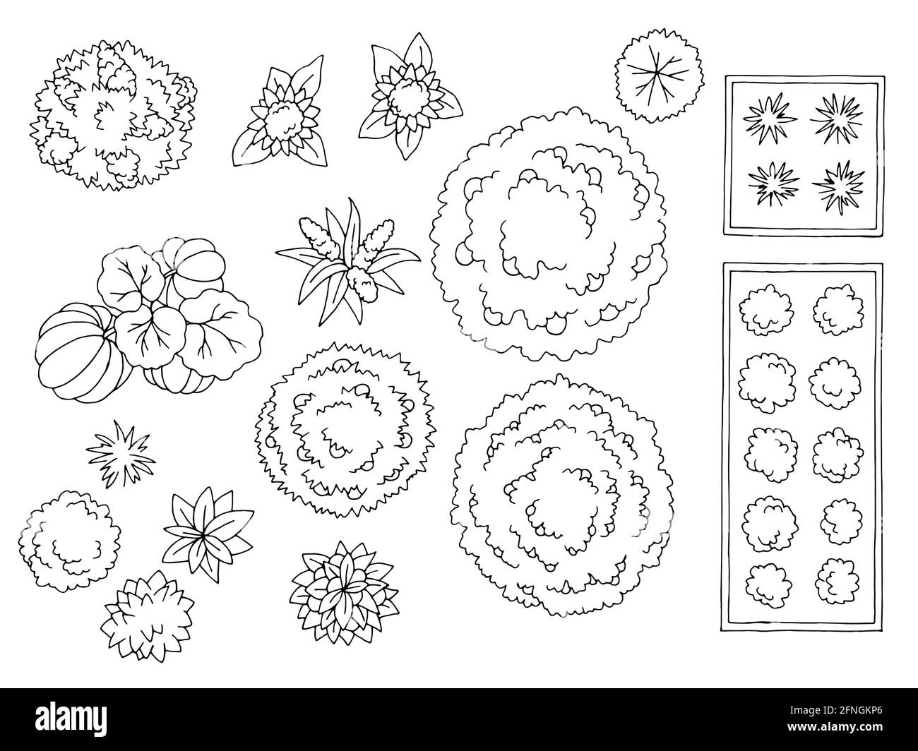 Apple park aerial view Stock Vector Images - Alamy