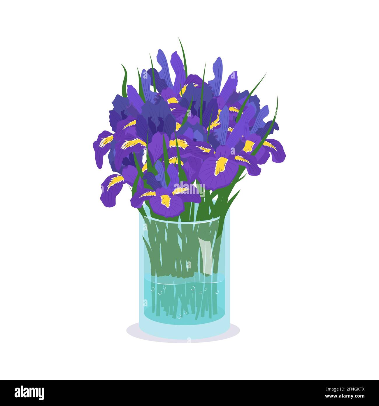 Water irises Stock Vector Images - Alamy
