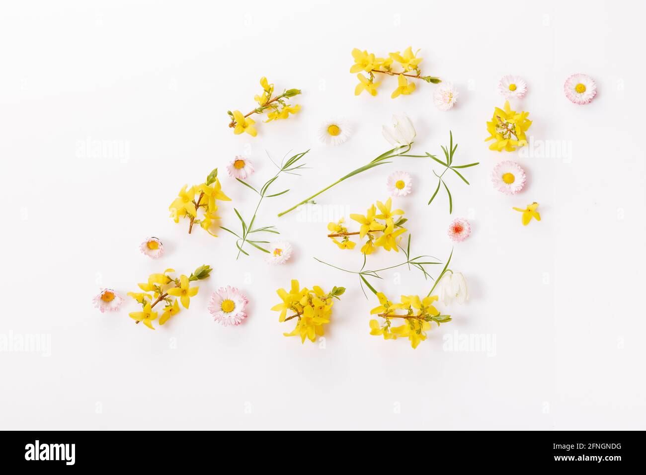 Spring frame of small flowers and daisy, floral arrangement Stock Photo ...