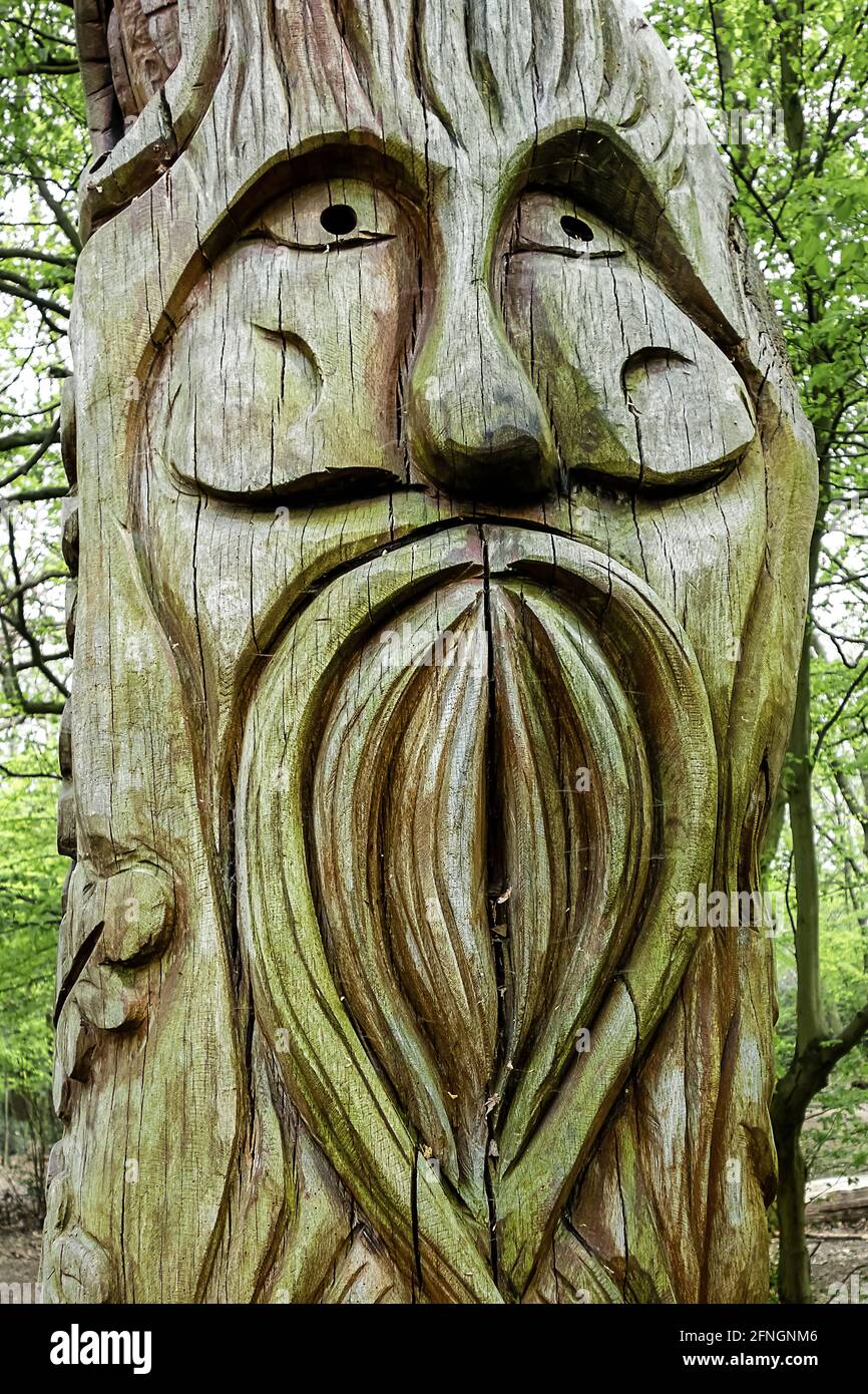 Chainsaw carving, Green Man, carved tree face in Elmstead Wood By ...