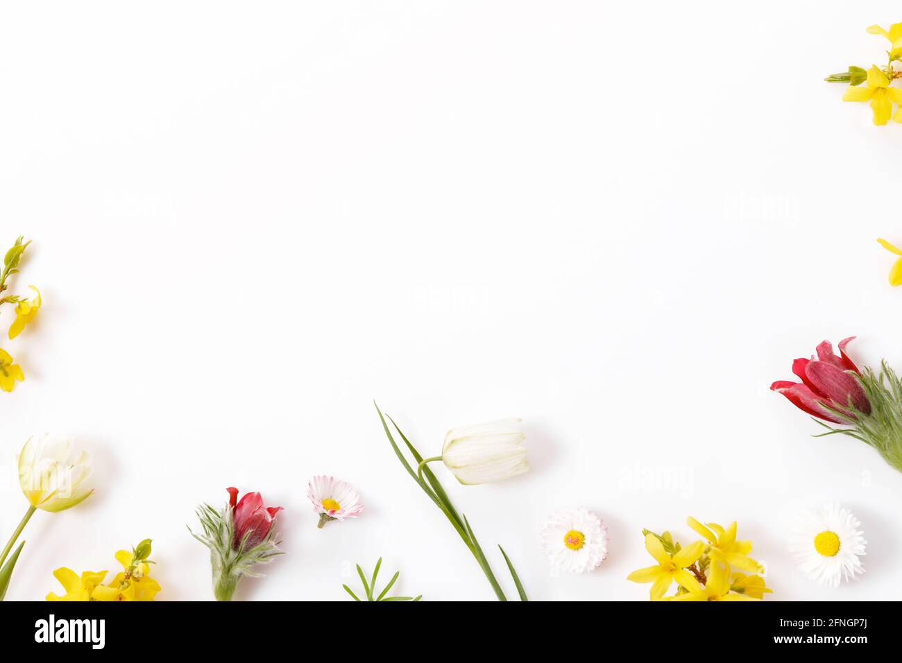 Spring frame of small flowers and daisy, floral arrangement Stock Photo ...
