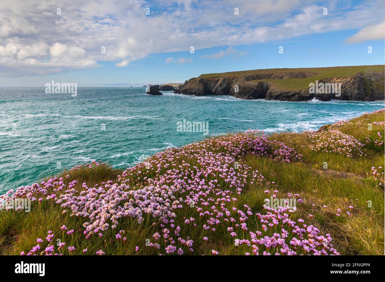 Cornish natural spring water hi-res stock photography and images - Alamy