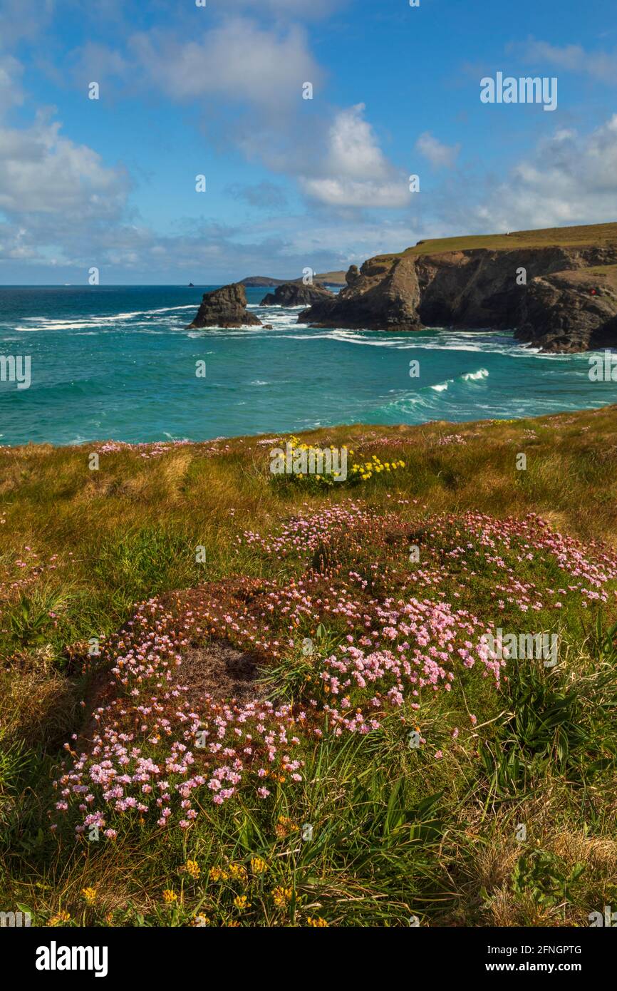 Cornish natural spring water hi-res stock photography and images - Alamy