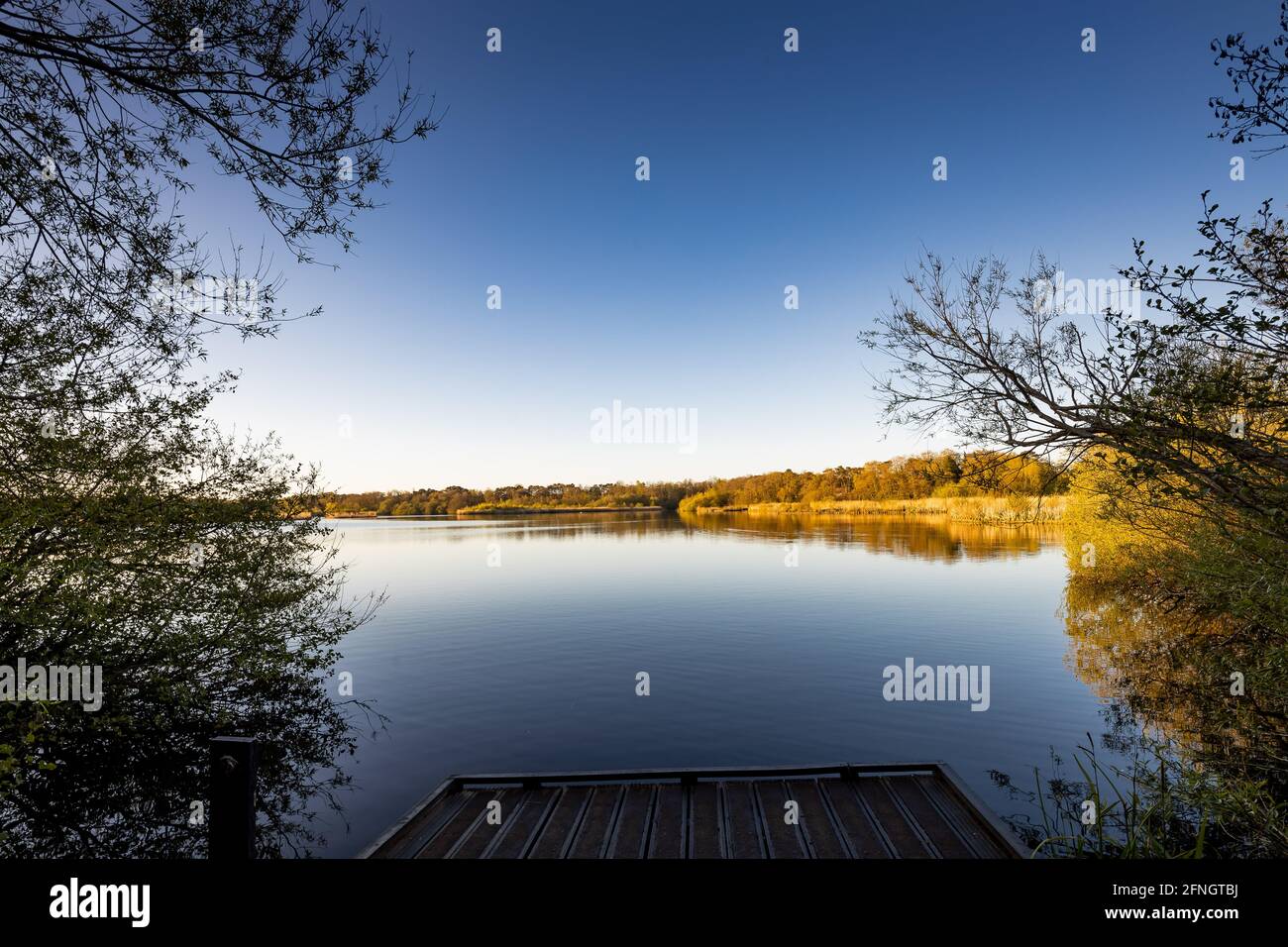 Farnborough abbey hi-res stock photography and images - Alamy