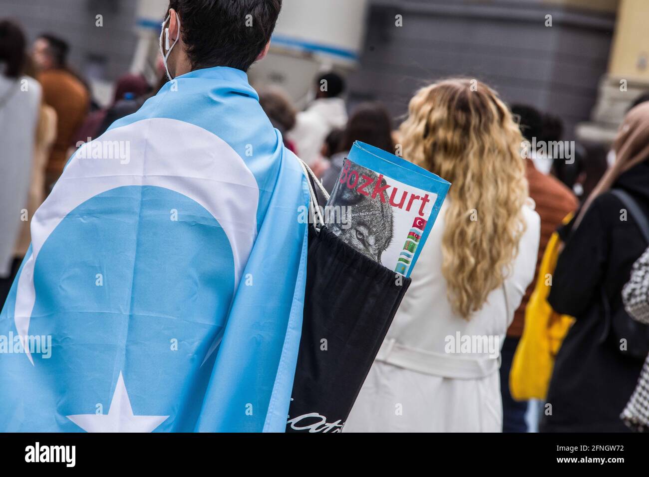 Grey wolves salute hi-res stock photography and images - Alamy