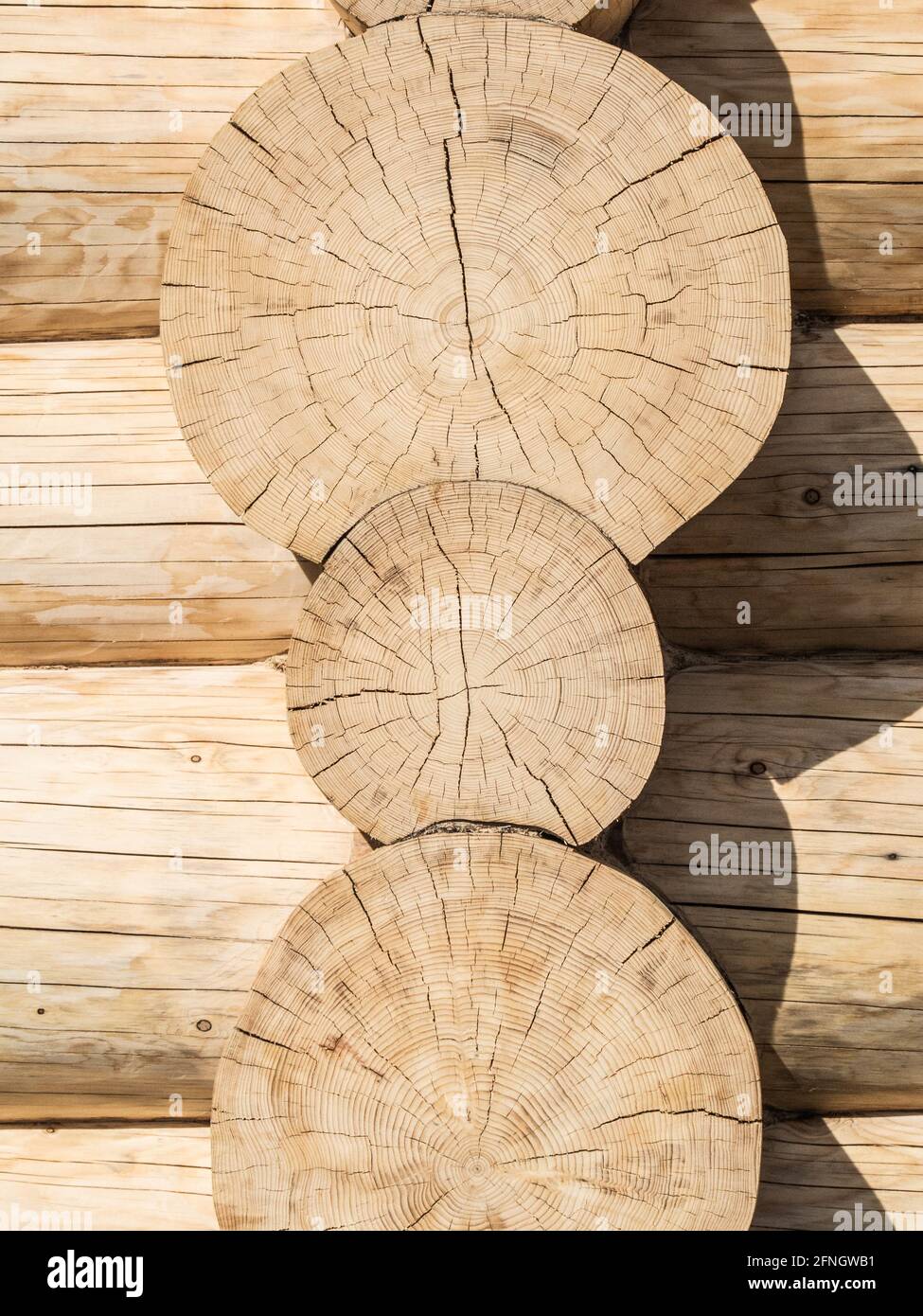 Natural background pattern of a log wall. Construction of wooden houses ...