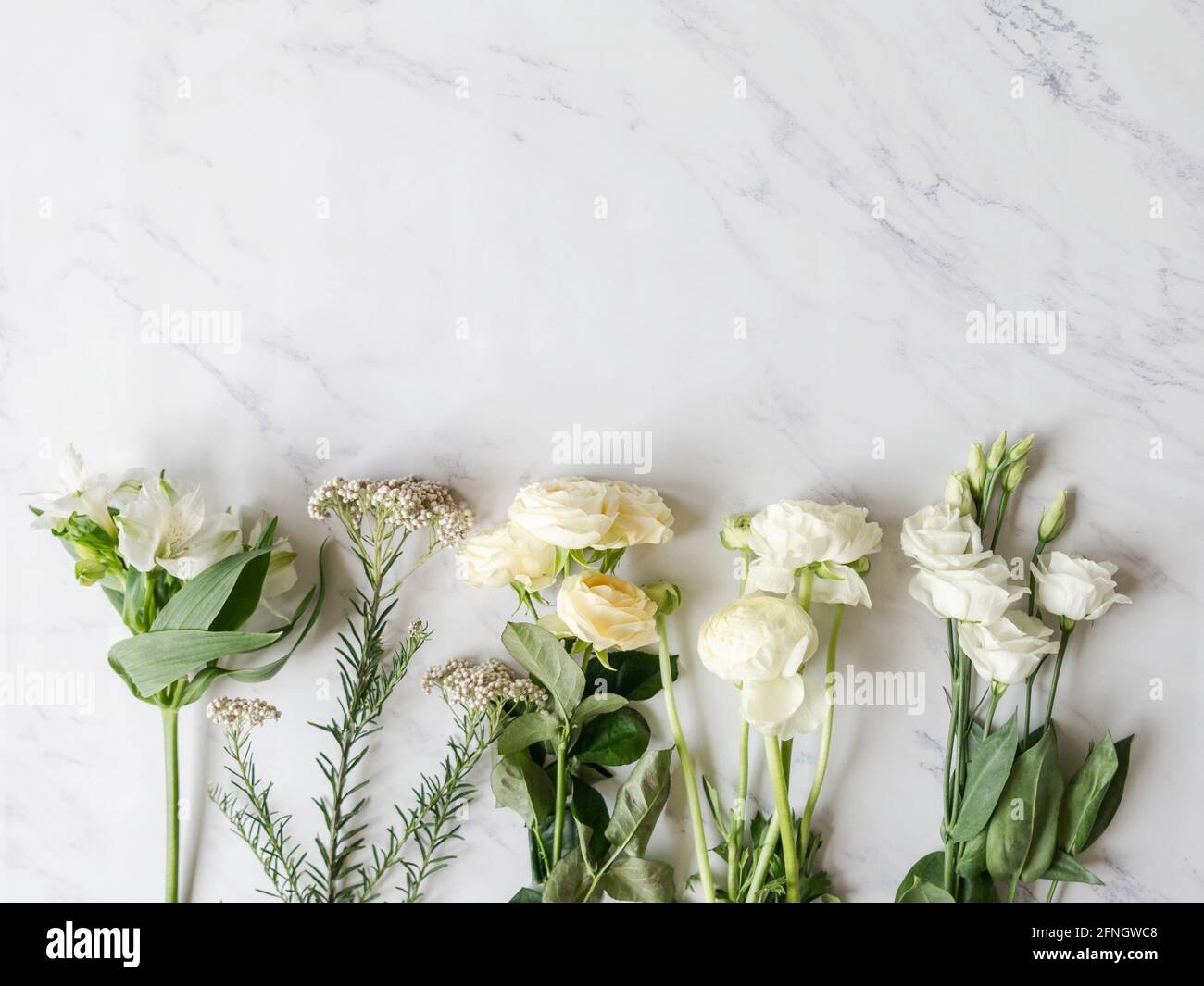 Various white flowers border on marble background. Ranunculus, eustoma ...