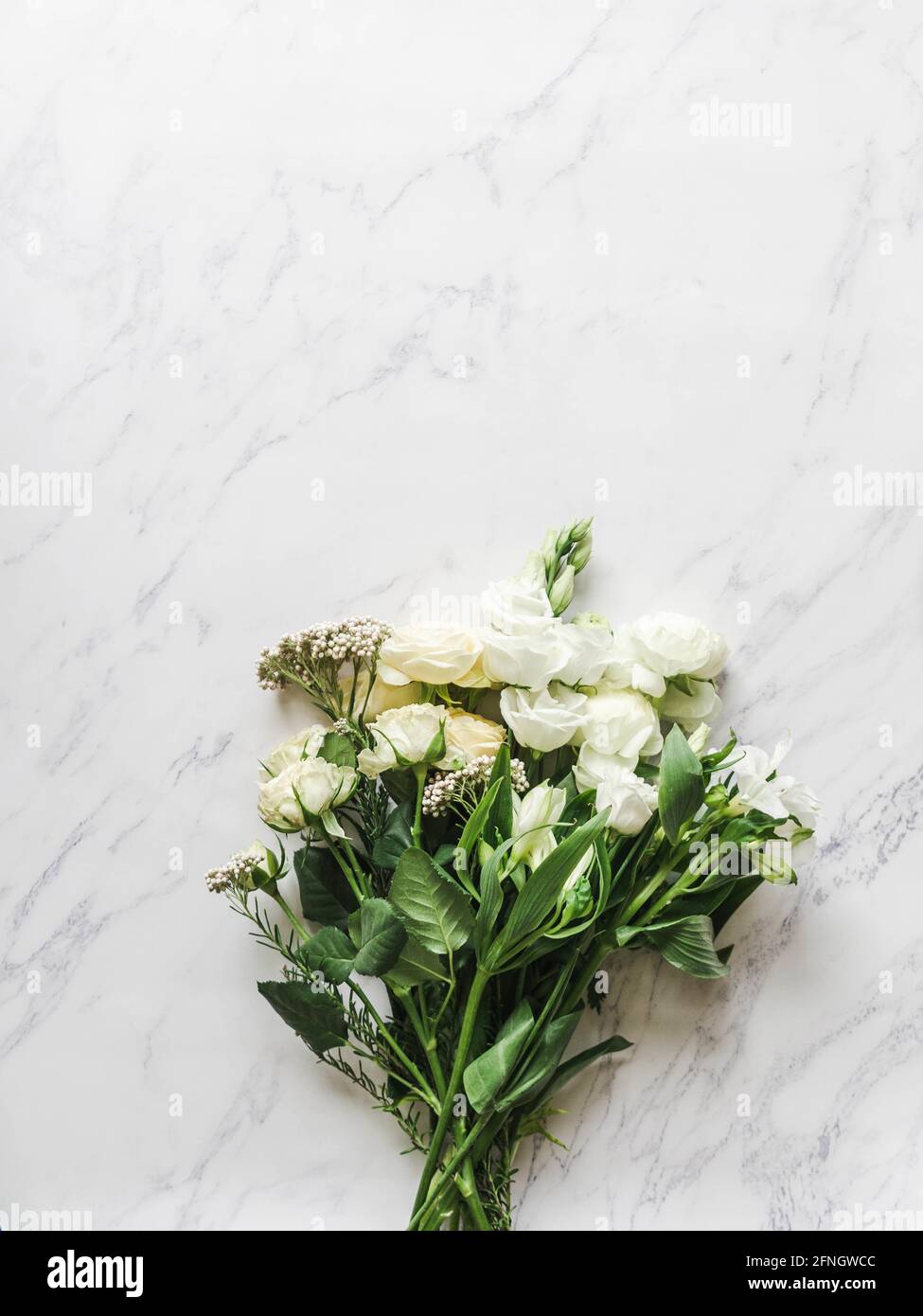 Bouquet of various white flowers border on marble background ...