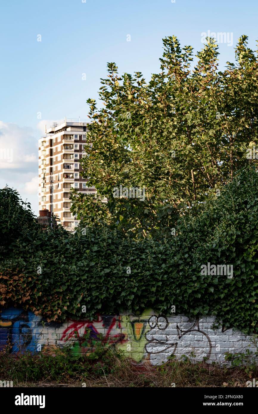 Graffiti leaves hi-res stock photography and images - Alamy