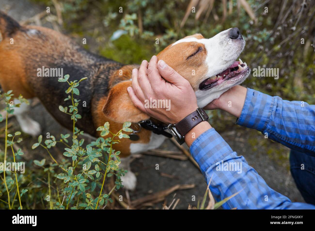Human and the animal connection. The concept of trust and friendship ...