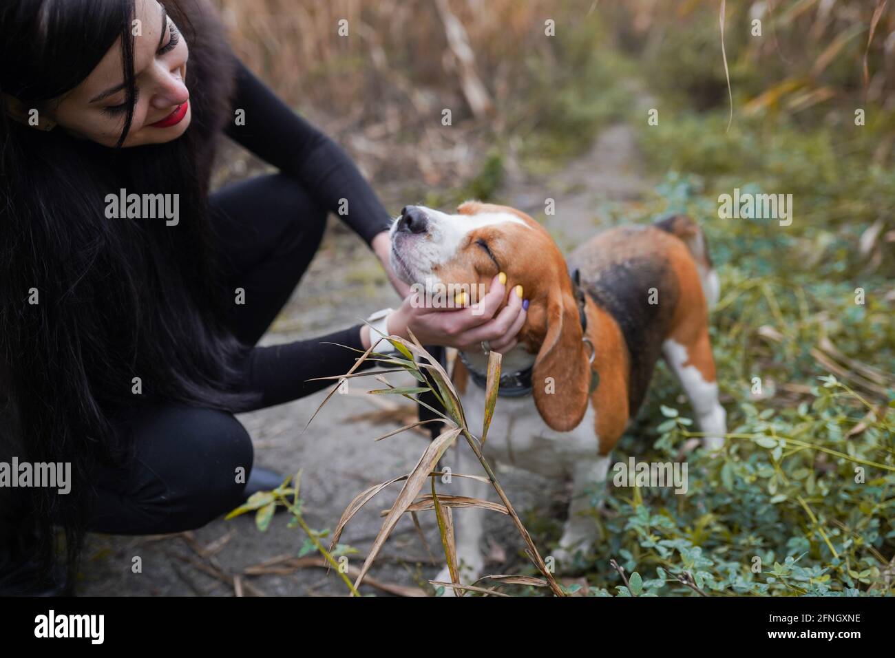 Human and the animal connection. The concept of trust and friendship ...
