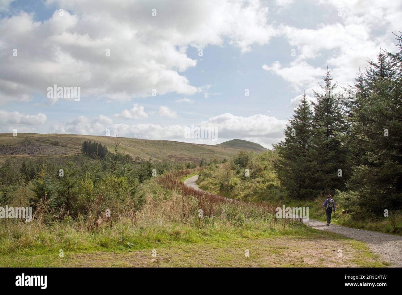 Shutlingsloe viewed from Ness Hill in the Macclesfield Forest ...
