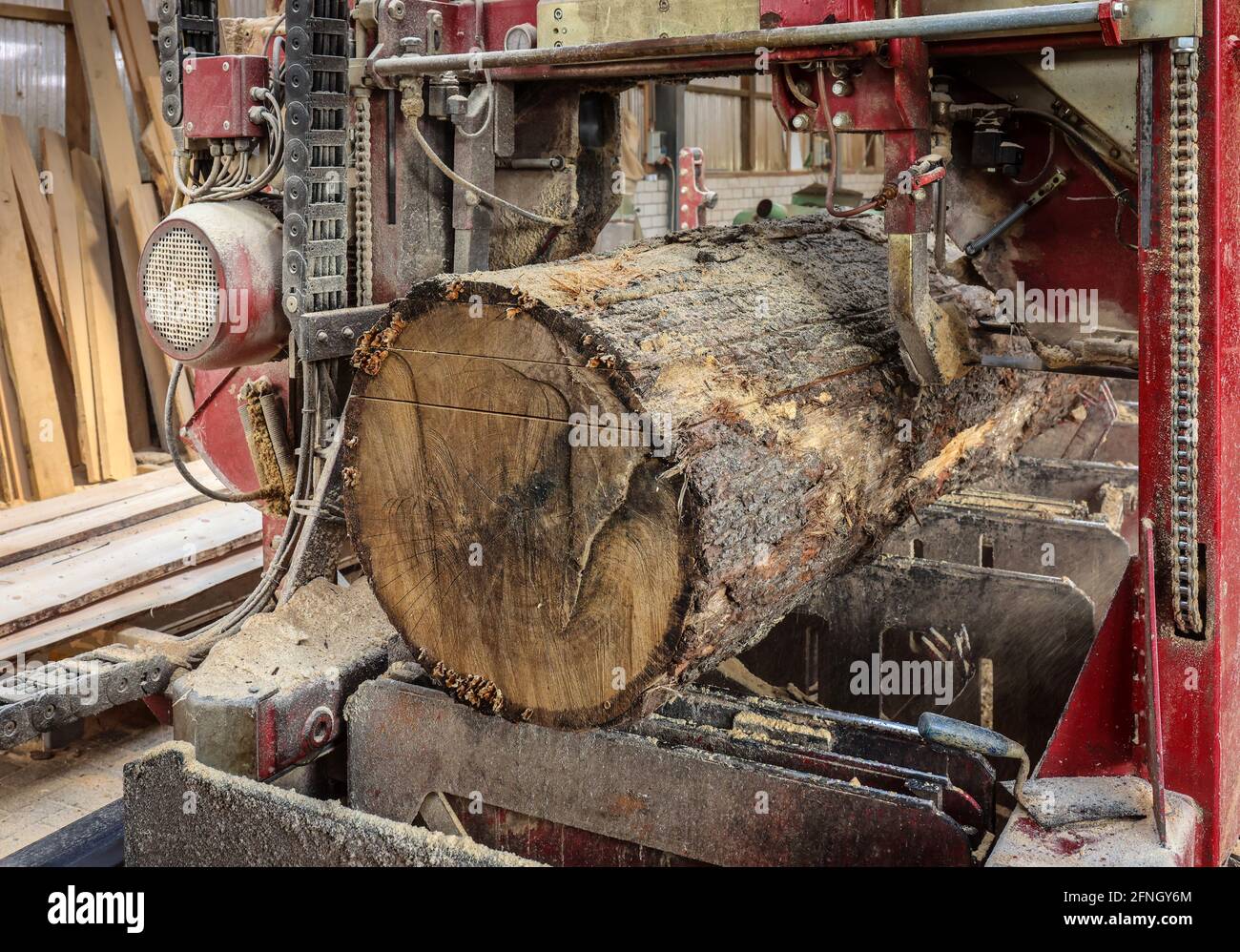 Solingen, North Rhine-Westphalia, Germany - Oak log on the band saw in ...