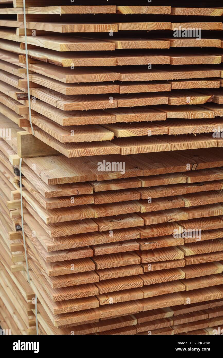 Solingen, North Rhine-Westphalia, Germany - Logs are processed into ...