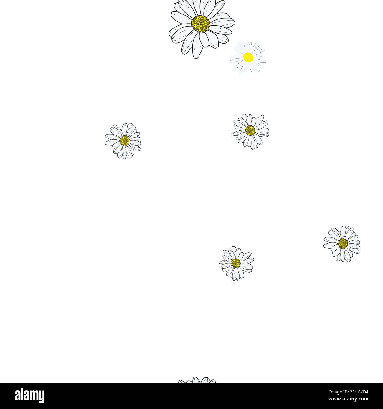 Vector white background daisy flowers and wild flowers. Seamless ...