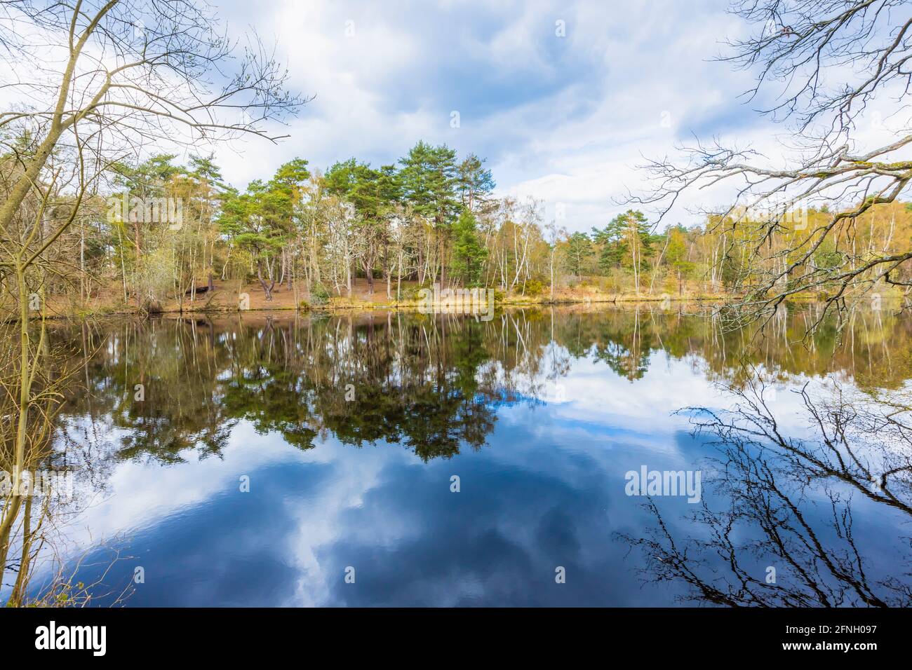 Chobham common in spring hi-res stock photography and images - Alamy